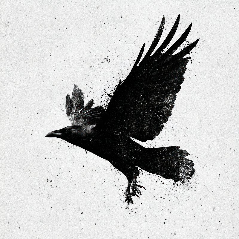 Crow Transparent Images | Free Photos, PNG Stickers, Wallpapers ...
