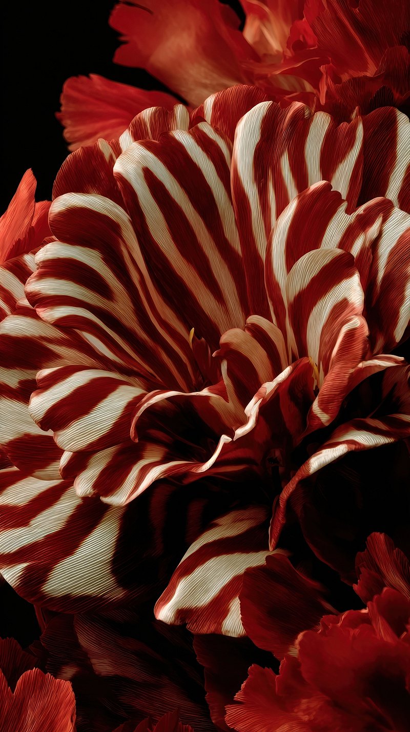 Wallpaper TIF Texture Design Background Images | Free Photos, PNG ...