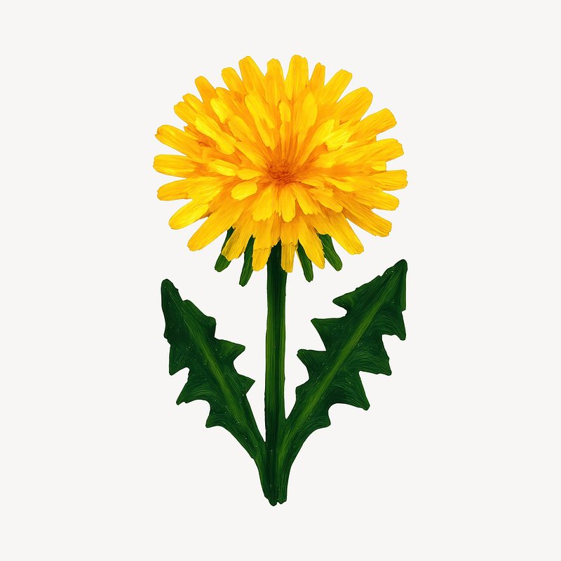 Brushstroke+floral Design Images | Free Photos, PNG Stickers ...