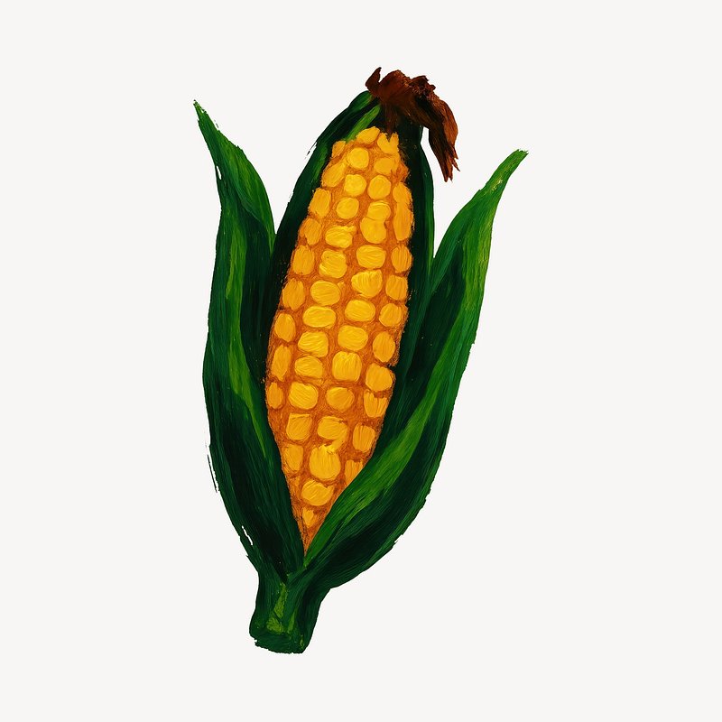 Corn TIFF Nature Images | Free Photos, PNG Stickers, Wallpapers ...