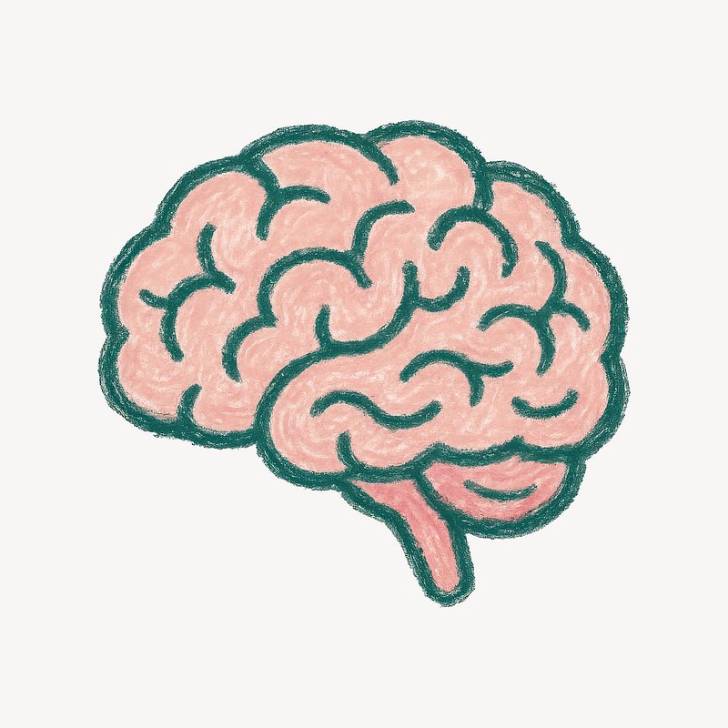 Brain+outline+drawing Transparent Images | Free Photos, PNG Stickers ...