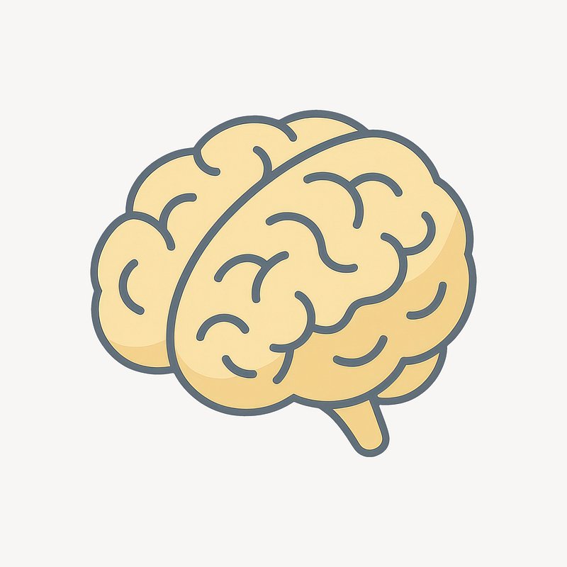 Brain+graphics Isolated Images | Free Photos, PNG Stickers, Wallpapers ...