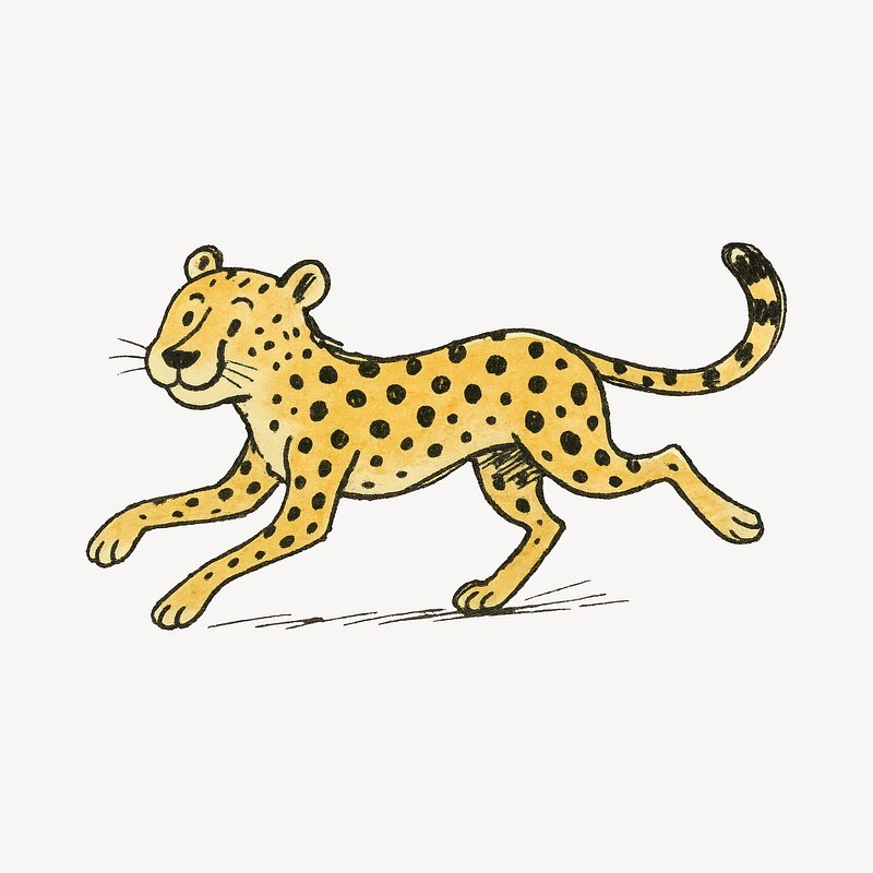 Cat Shadow Animal Images | Free Photos, PNG Stickers, Wallpapers ...