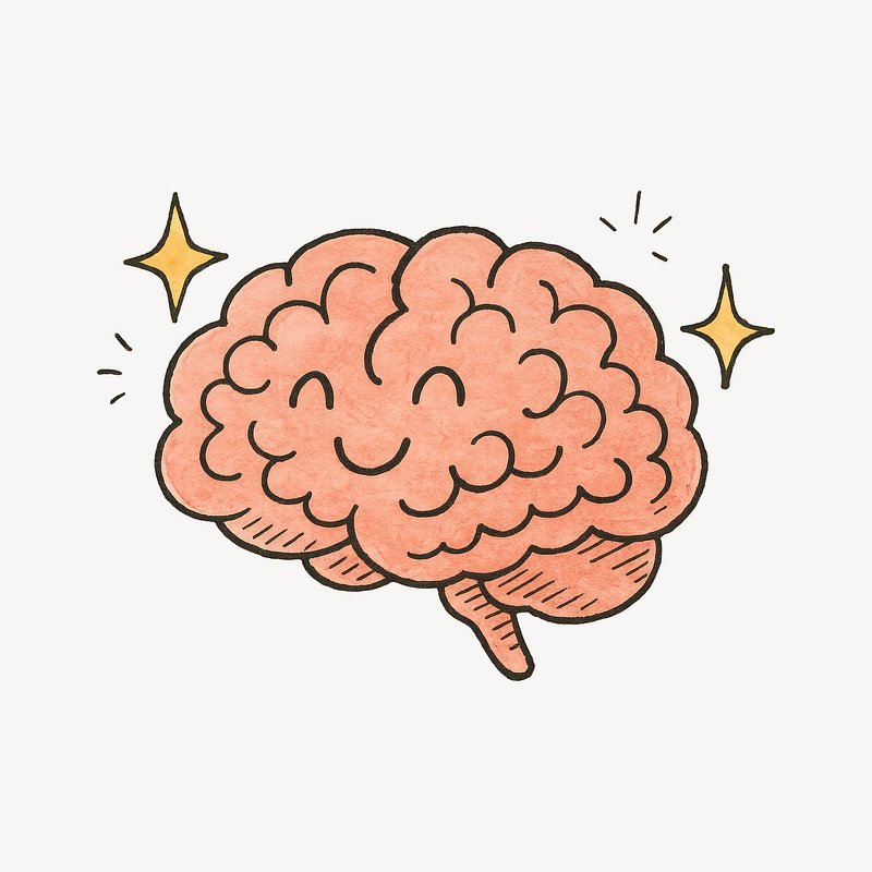 Brain+outline+drawing Shadow Images | Free Photos, PNG Stickers ...