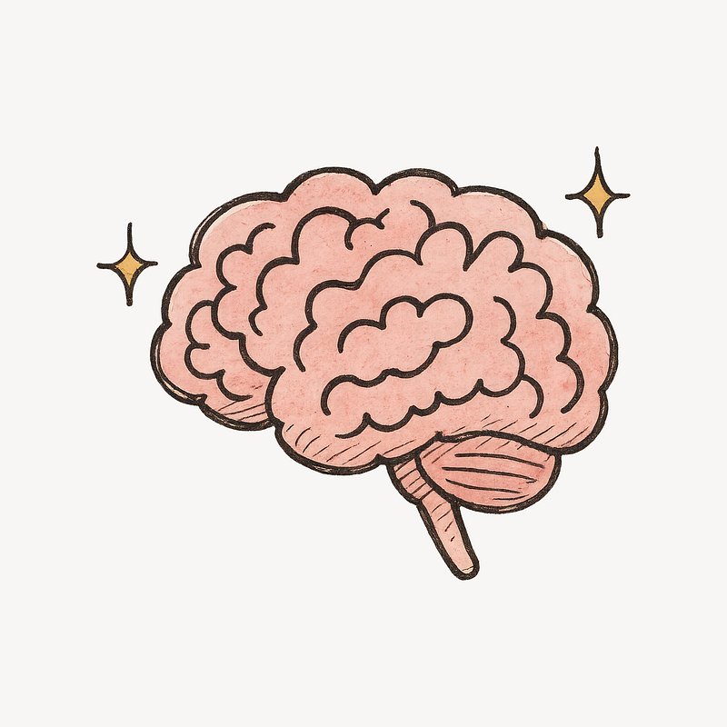 Brain+graphics Design Images | Free Photos, PNG Stickers, Wallpapers ...