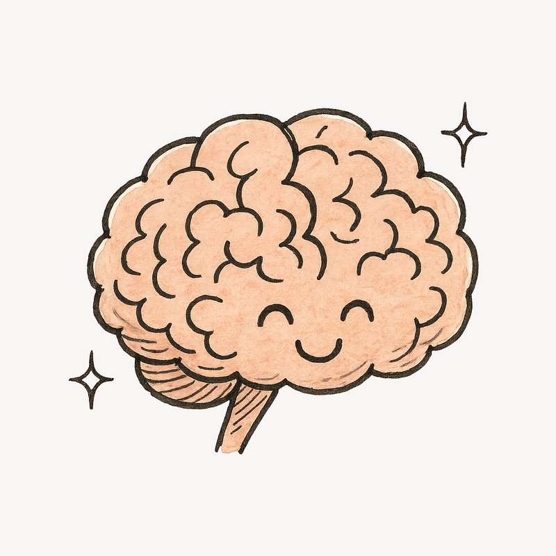 Brain+outline+drawing Shadow Images | Free Photos, PNG Stickers ...