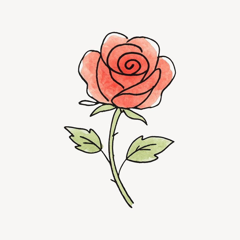 Images+of+roses+outline Background Images | Free Photos, PNG Stickers ...