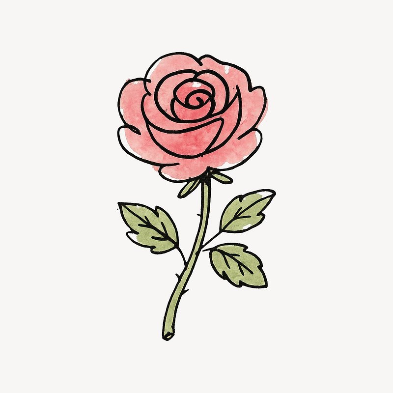 Images+of+roses+outline Texture Images | Free Photos, PNG Stickers ...