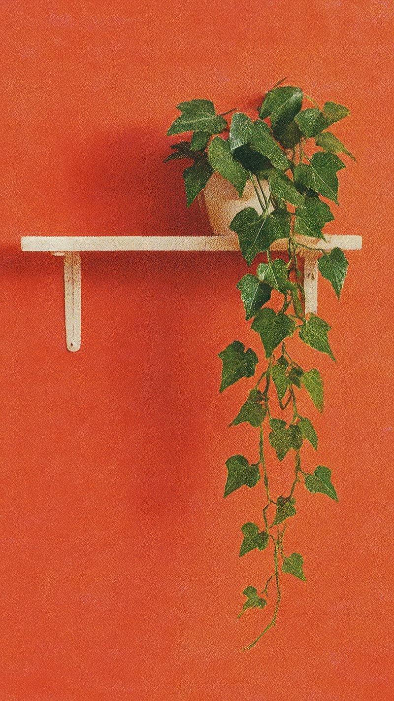 Retro+wall Aesthetic Images | Free Photos, PNG Stickers, Wallpapers ...