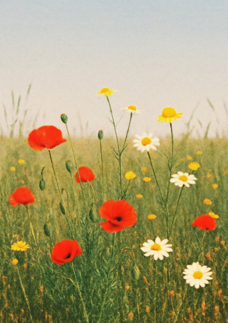 Red Light Design Mobile Wallpaper Images | Free Photos, PNG Stickers ...