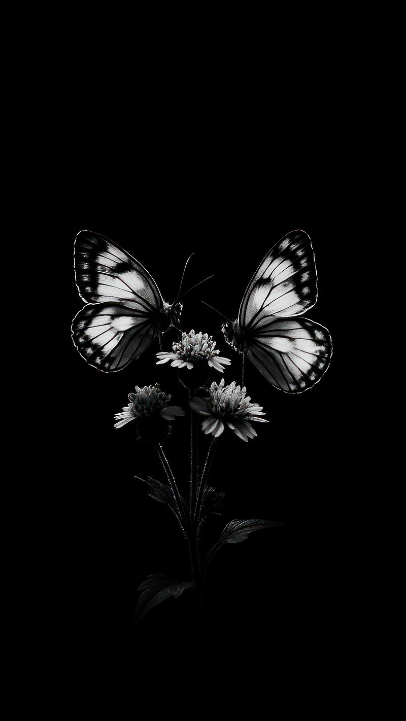 Butterfly Wallpaper Phone Black Images | Free Photos, PNG Stickers ...
