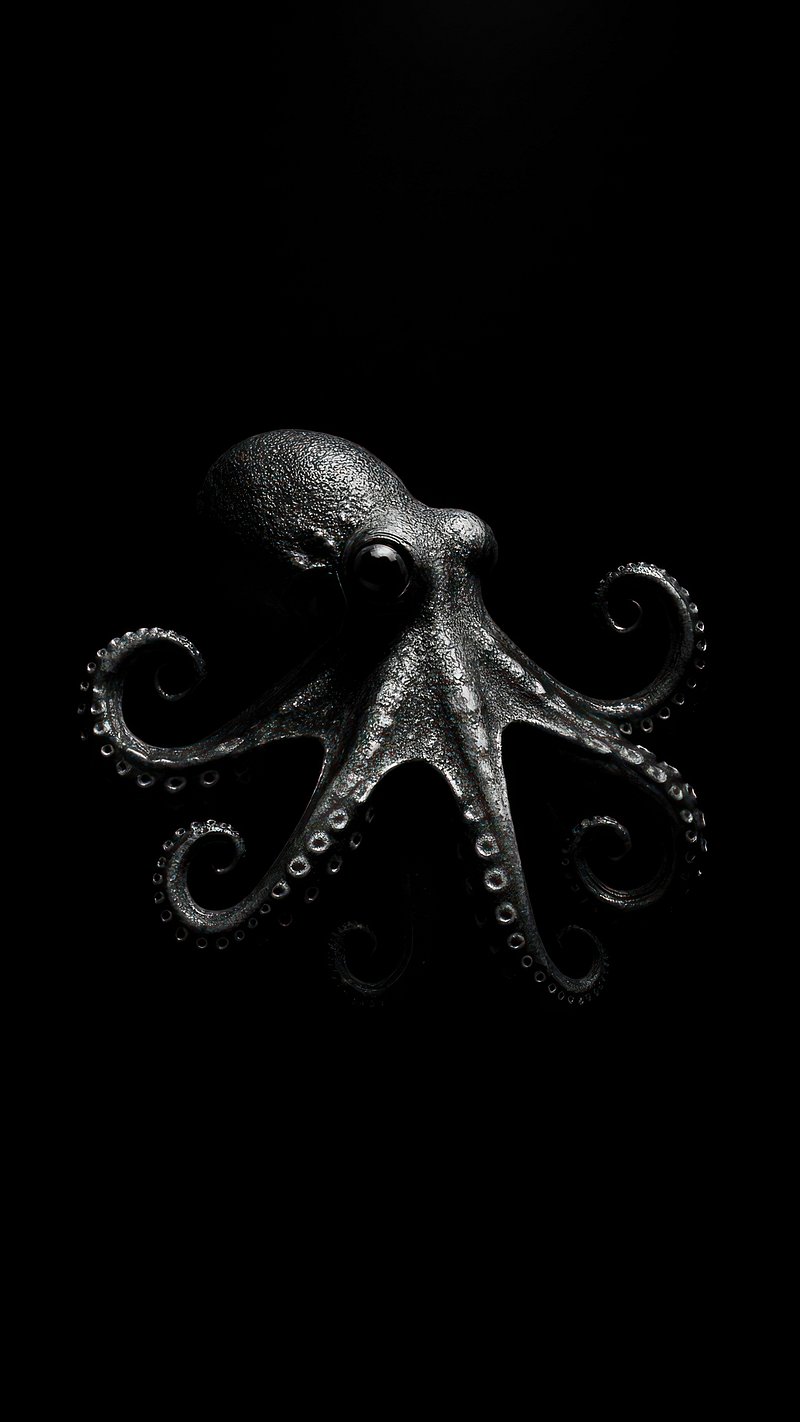 Black And White Octopus Images | Free Photos, PNG Stickers, Wallpapers ...