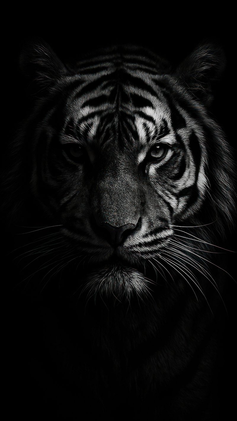 Wallpaper Face. Background JPEG Black Art Images | Free Photos, PNG ...