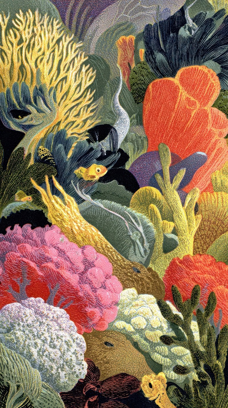 Wallpaper Marine Art Life Images | Free Photos, PNG Stickers ...