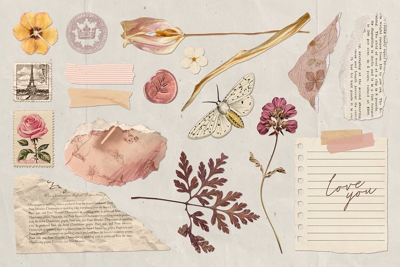 Brown. Design Paper Images | Free Photos, PNG Stickers, Wallpapers ...