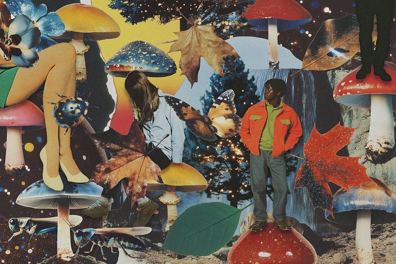 Font+human Torn Paper PNG Images | Free Photos, PNG Stickers ...