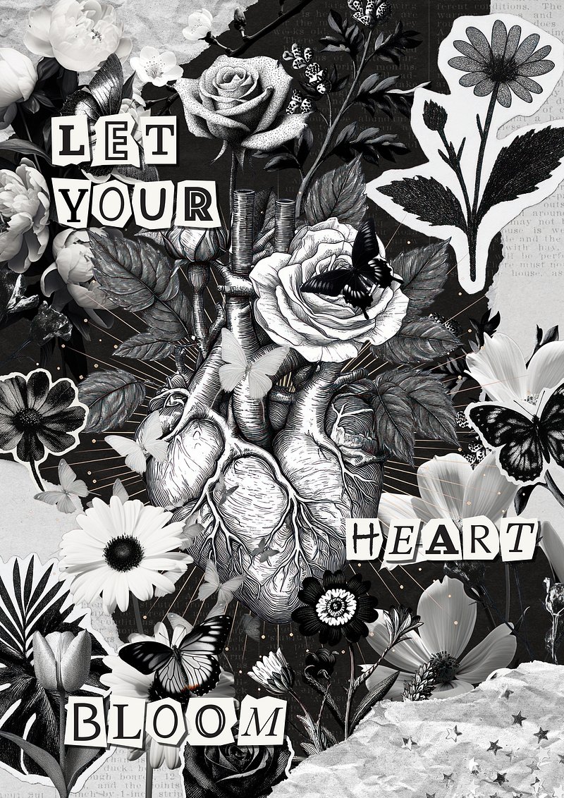 Large+star+drawing Pattern Images | Free Photos, PNG Stickers ...