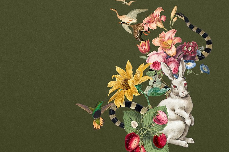 Vegetable+brushes Background Images | Free Photos, PNG Stickers ...