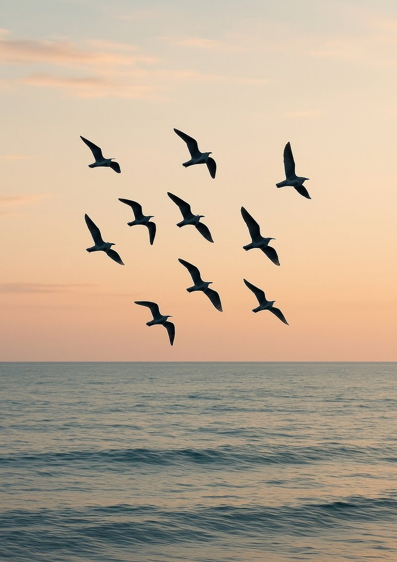 Birds Flying Sea Sky Images | Free Photos, PNG Stickers, Wallpapers ...