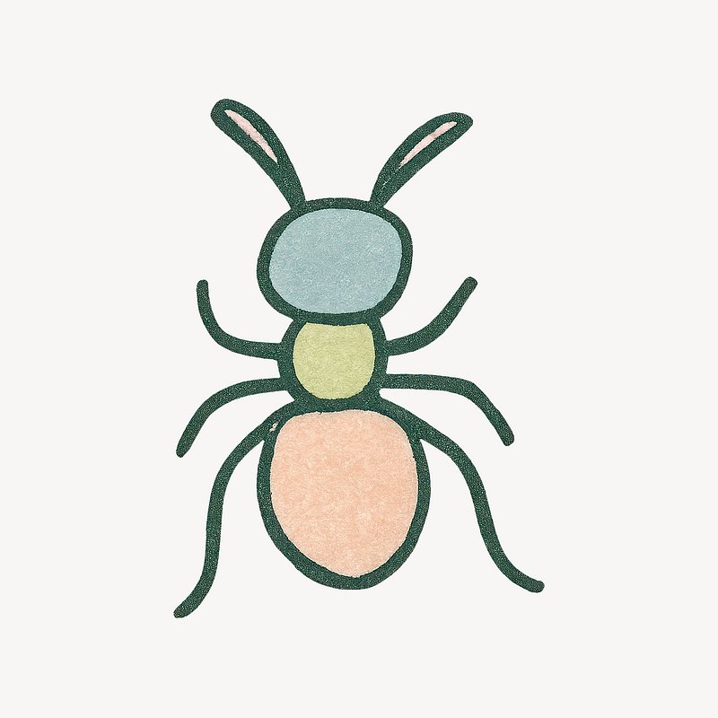 Ants PNG Images | Free Photos, PNG Stickers, Wallpapers & Backgrounds ...