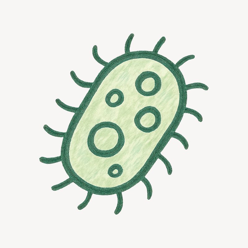Bacteria Science Art Transparent Images | Free Photos, PNG Stickers ...