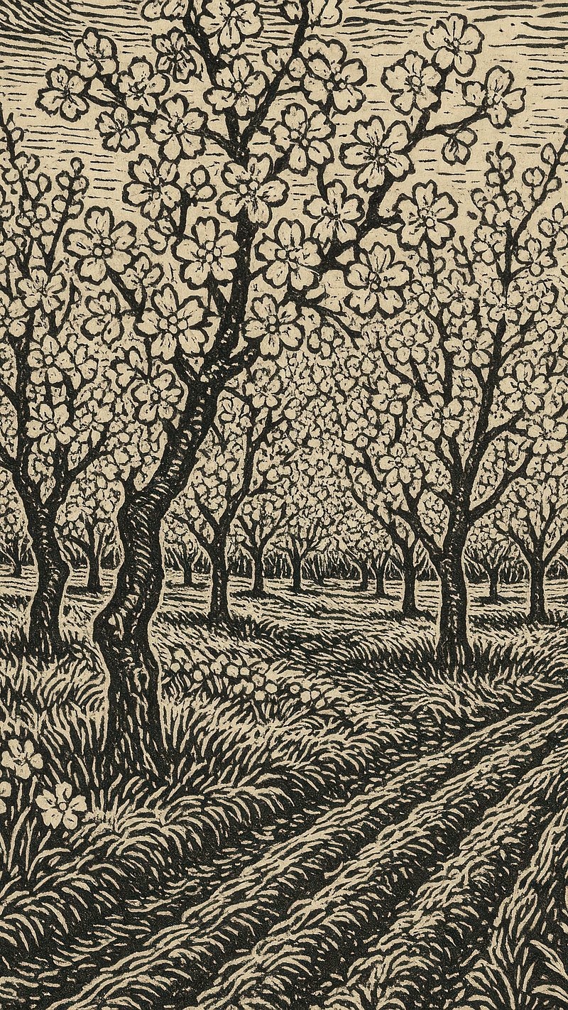 Orchard Nature Images | Free Photos, PNG Stickers, Wallpapers ...