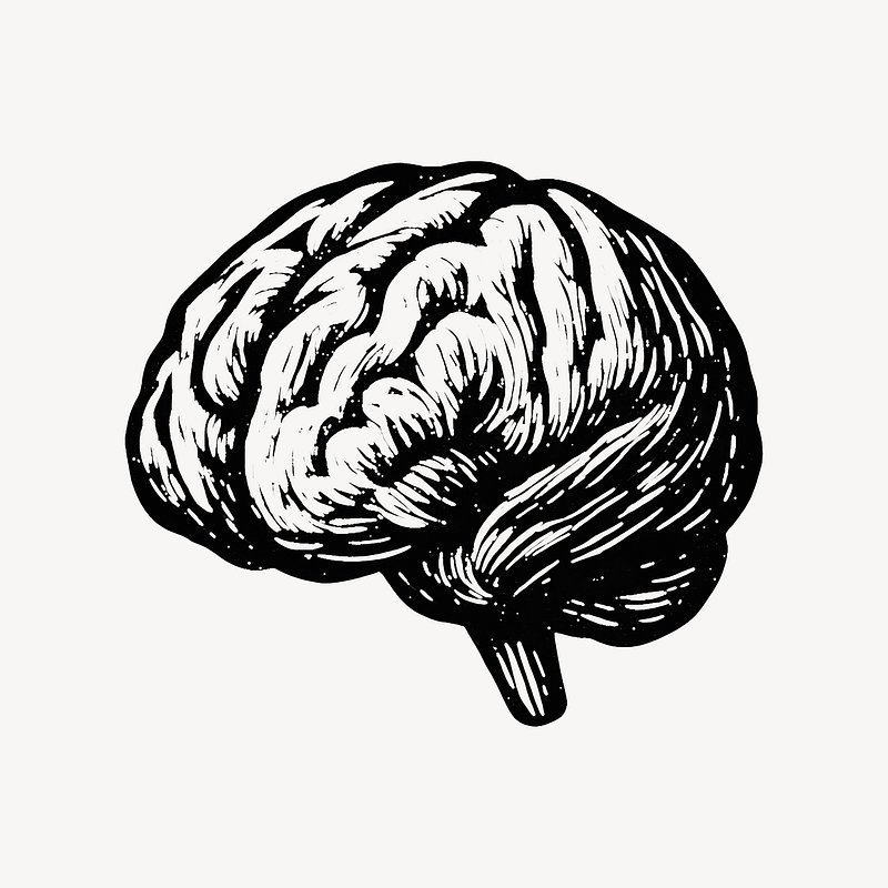 Brain+graphics Background Images | Free Photos, PNG Stickers ...