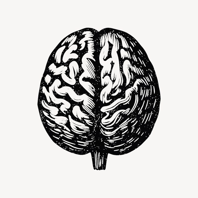 Black And White Brain Images | Free Photos, PNG Stickers, Wallpapers ...