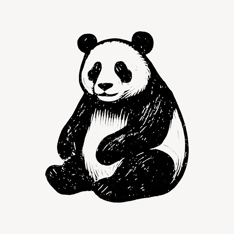 Animals Draw Texture Images | Free Photos, PNG Stickers, Wallpapers ...