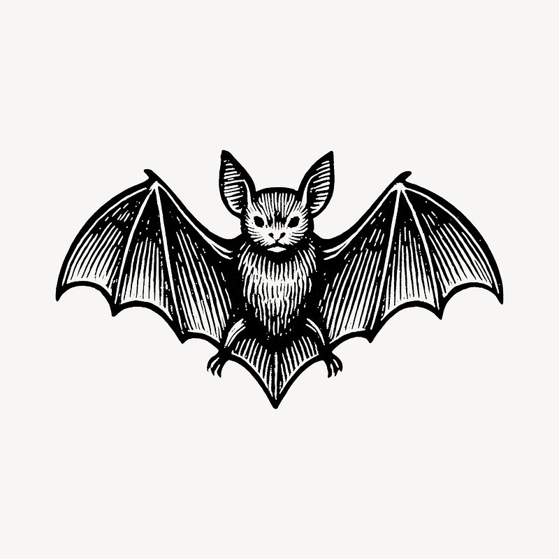 Halloween Bats Graphic Images | Download Free Design Resources on rawpixel