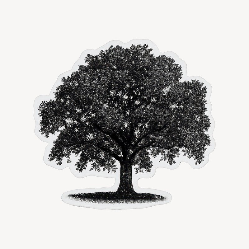 Oak Tree Black And White Space Images | Free Photos, PNG Stickers ...