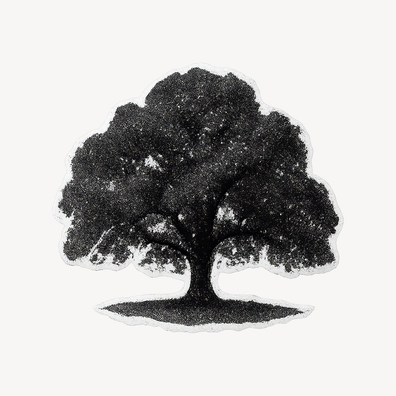 Oak Tree Black And White Space Images | Free Photos, PNG Stickers ...