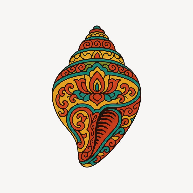 Green Shell Background Images | Free Photos, PNG Stickers, Wallpapers ...