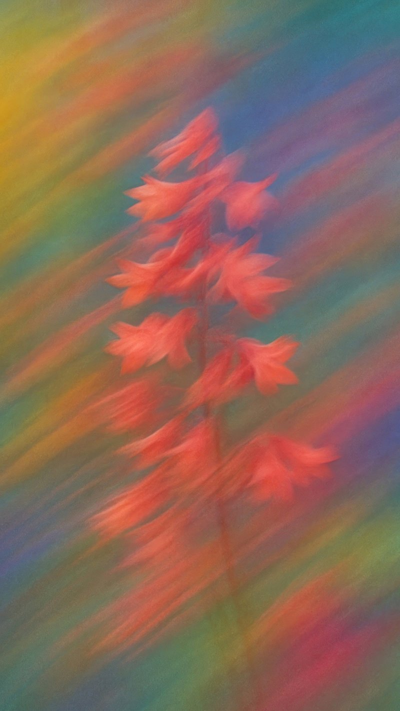 Flower Coral Texture Images | Free Photos, PNG Stickers, Wallpapers ...