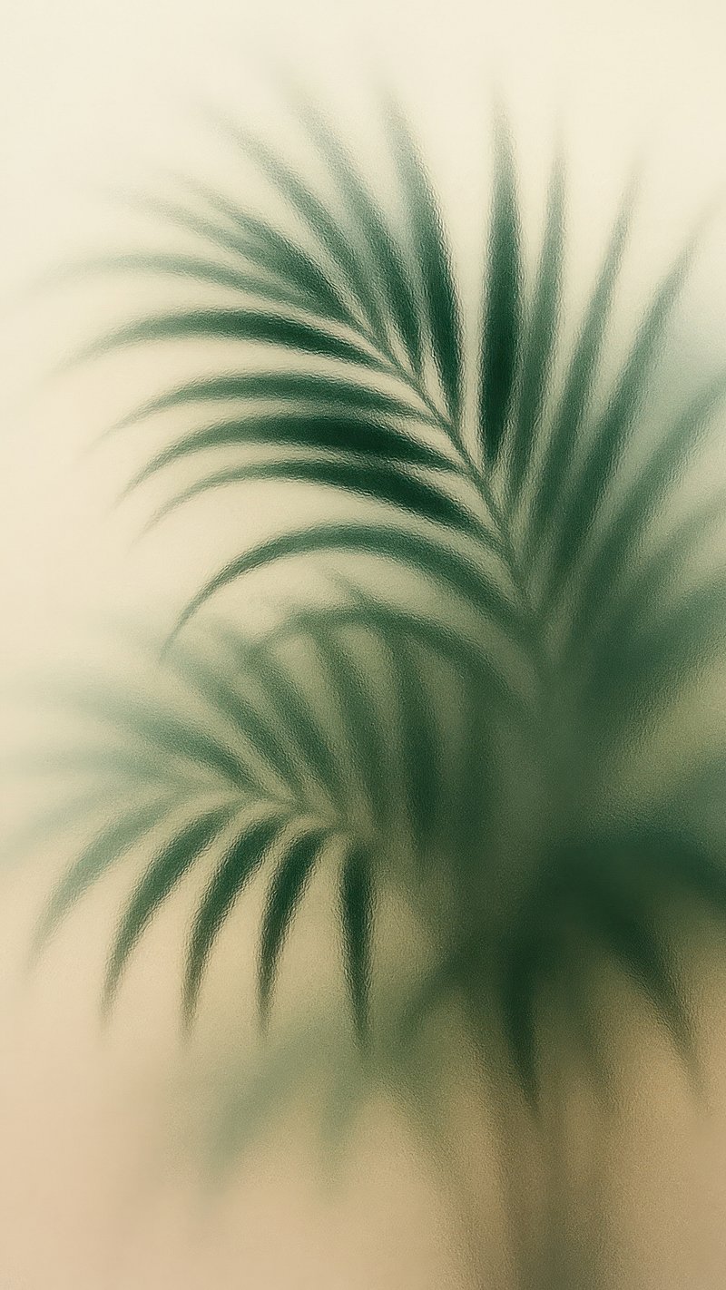 Parts Aesthetic Shadow Images | Free Photos, PNG Stickers, Wallpapers ...