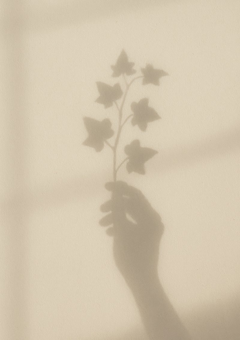 Ivy Wallpaper Design Aesthetic Nature Images | Free Photos, PNG ...