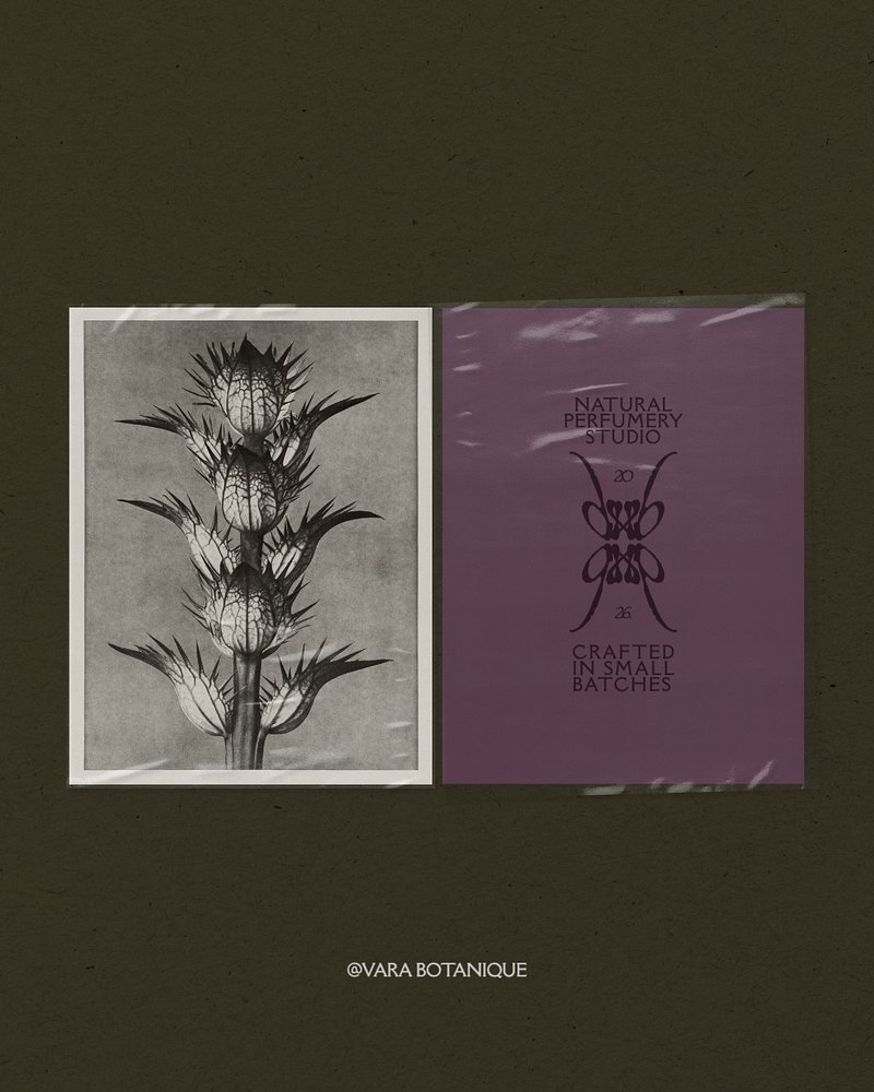 Free+pd Aesthetic Images | Free Photos, PNG Stickers, Wallpapers ...