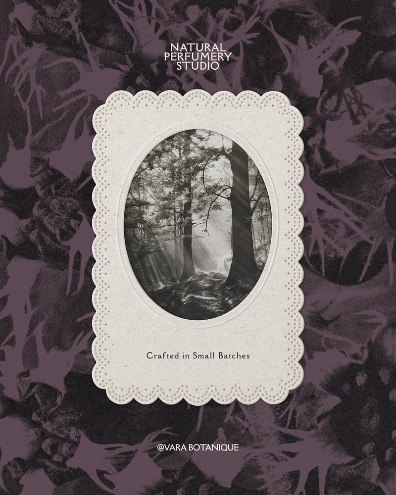 Natural+free+shop Vintage Images | Free Photos, PNG Stickers ...