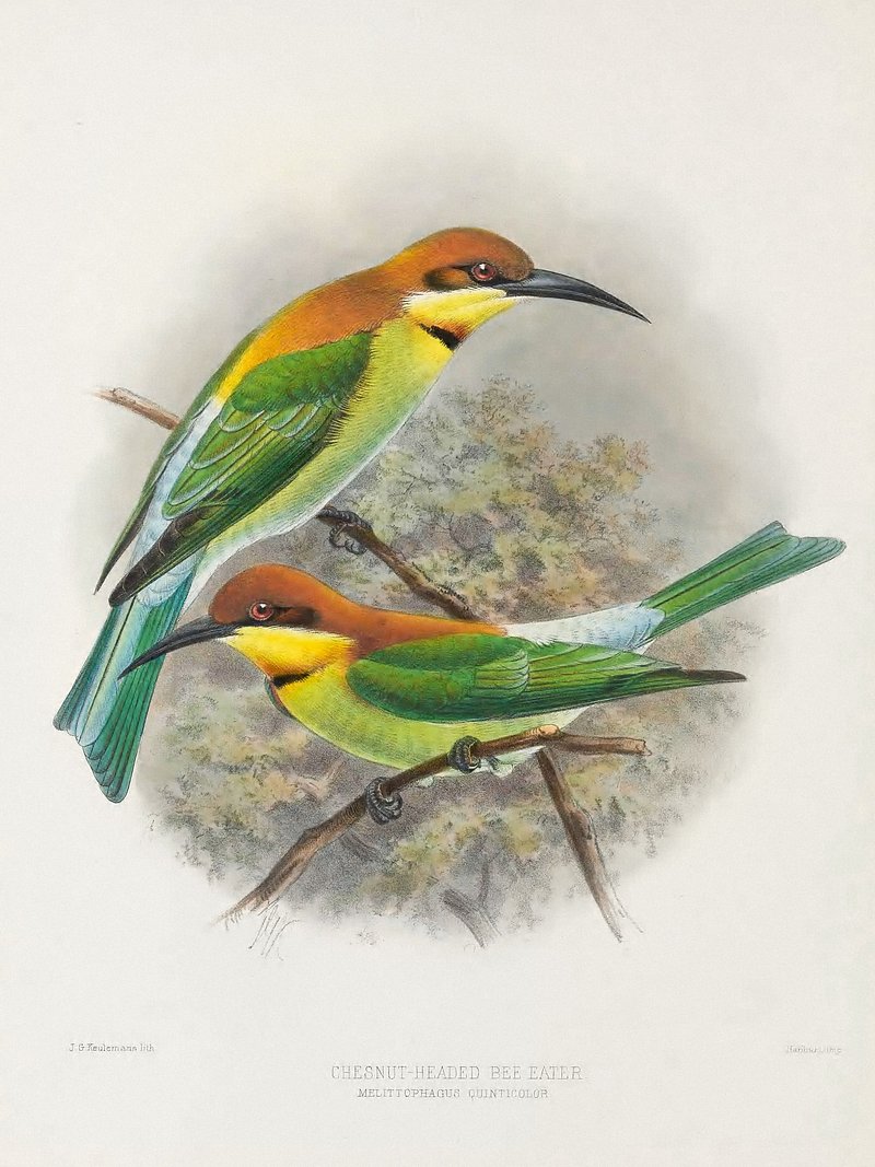 Cc0 Poster Images | Free Photos, PNG Stickers, Wallpapers & Backgrounds ...