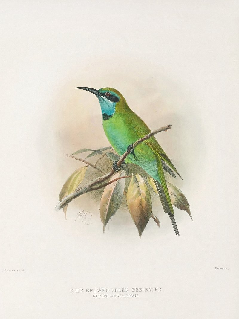 Cc0 Poster Images | Free Photos, PNG Stickers, Wallpapers & Backgrounds ...