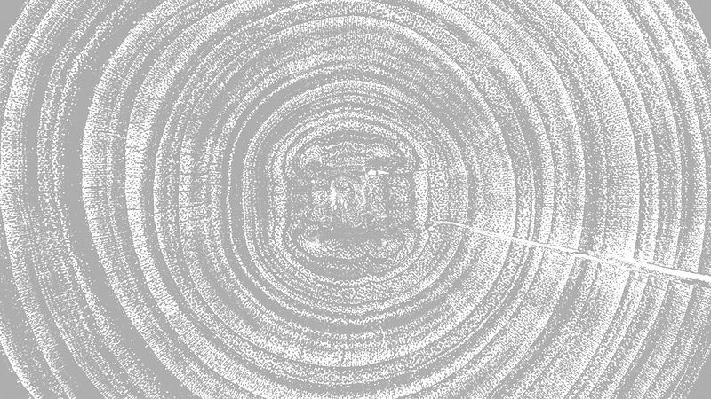 Desktop Wallpaper Tree Images | Free Photos, PNG Stickers, Wallpapers ...