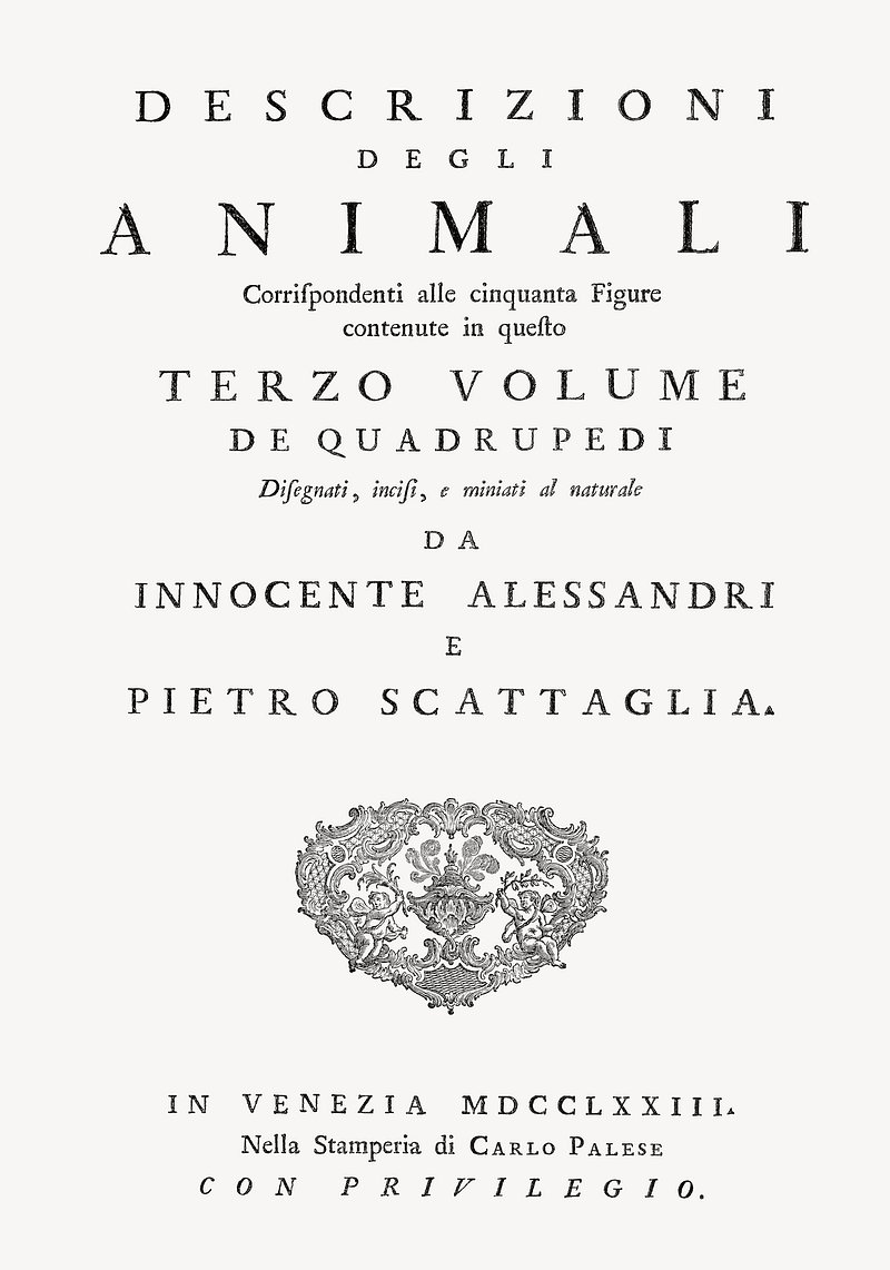 Public Document Vintage Book Old Antique Images | Free Photos, PNG ...