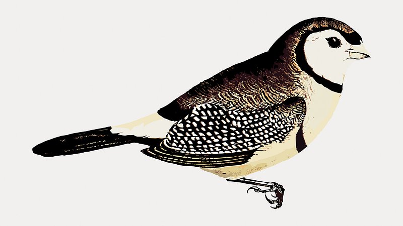 Cut Out Sticker Images | Free Photos, PNG Stickers, Wallpapers ...