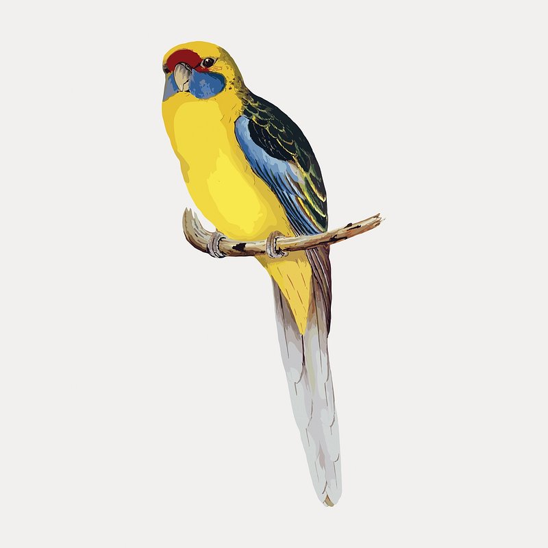 Cut Out Sticker Images | Free Photos, PNG Stickers, Wallpapers ...