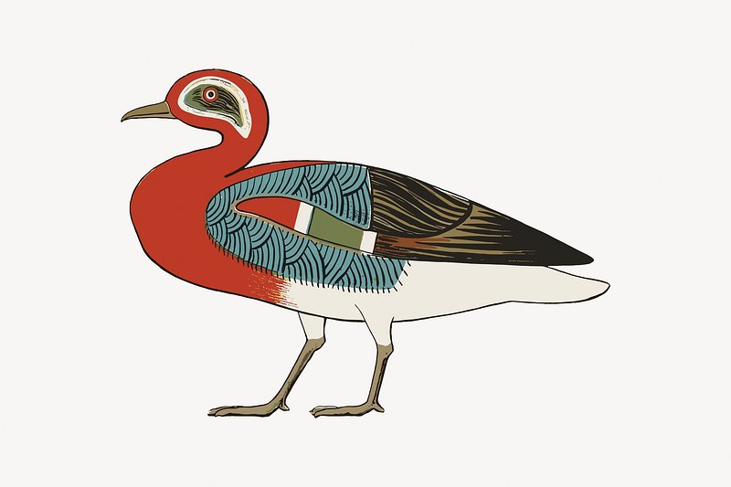 Egyptian Bird Animal Drawing Vintage Images | Free Photos, PNG Stickers ...