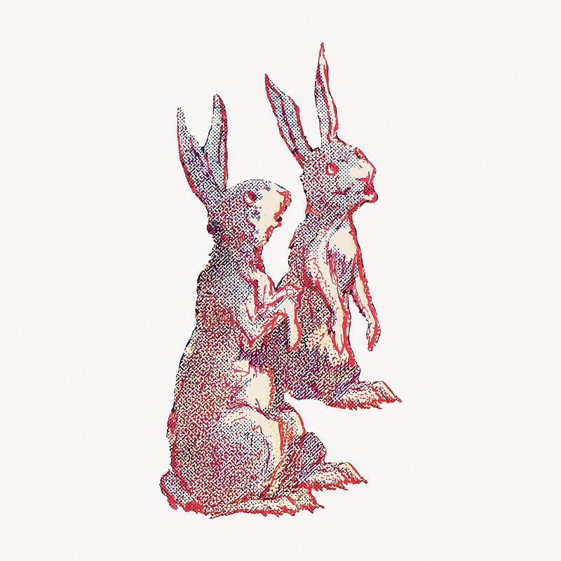 Female Deer Images | Free Photos, PNG Stickers, Wallpapers ...