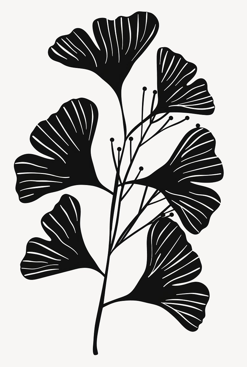 Ginkgo Design Images | Free Photos, PNG Stickers, Wallpapers ...