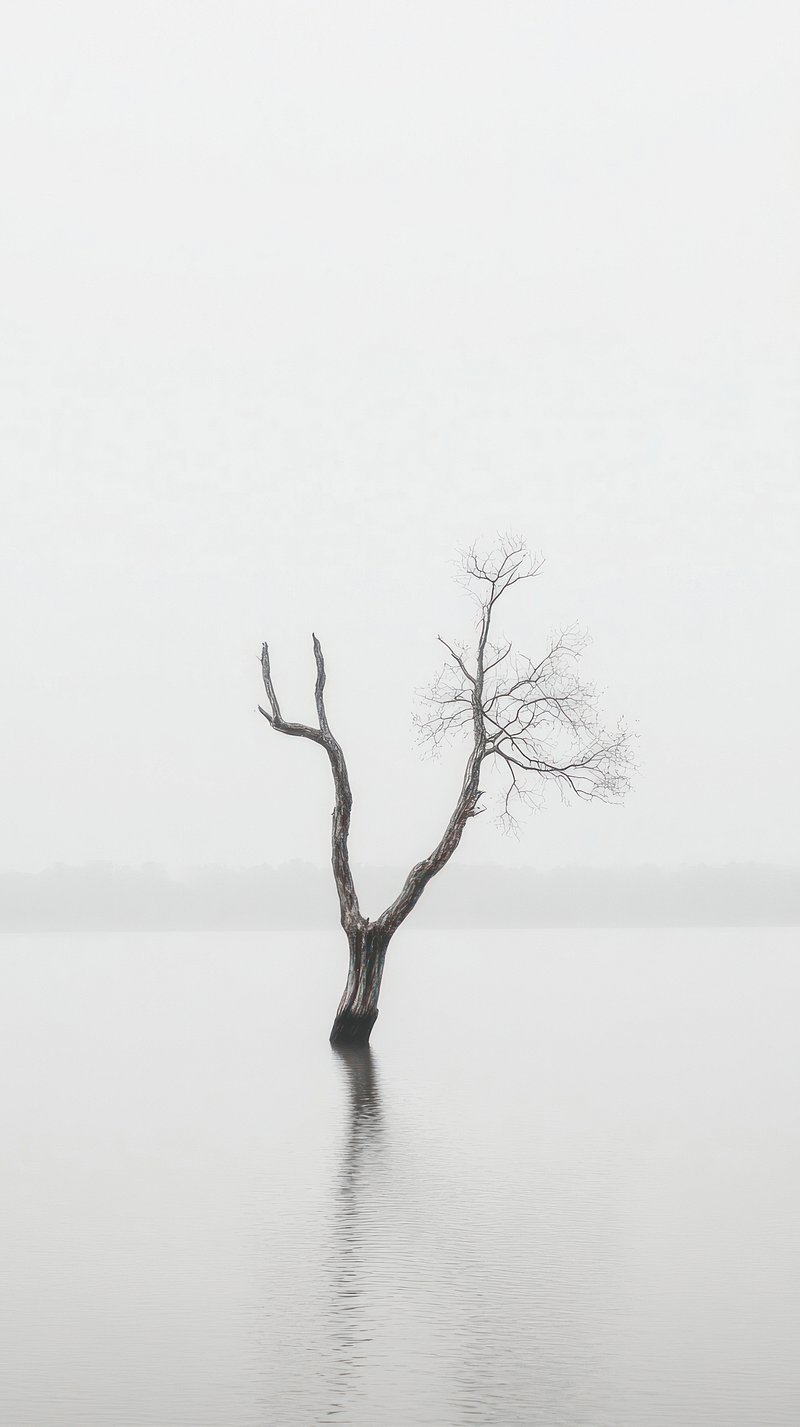 Aesthetic Trees Images | Free Photos, PNG Stickers, Wallpapers ...