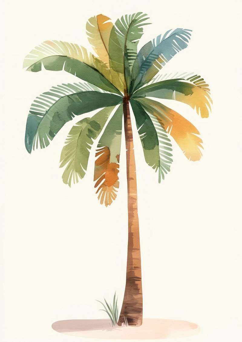 PNG Summer palm tree illustration | Free PNG - rawpixel