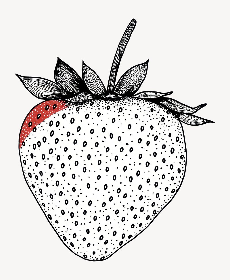 Stawberry illustration strawberry drawing vector | Free Vector - rawpixel